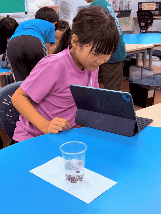 Summer School - Extracurriculars | Aoba Japan International School